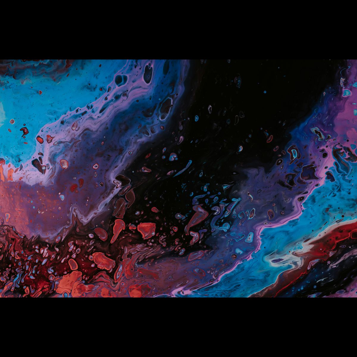 Oracle of Consciousness